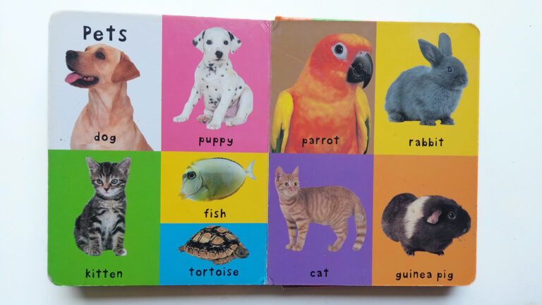 21 of the best dictionaries for kids of different ages